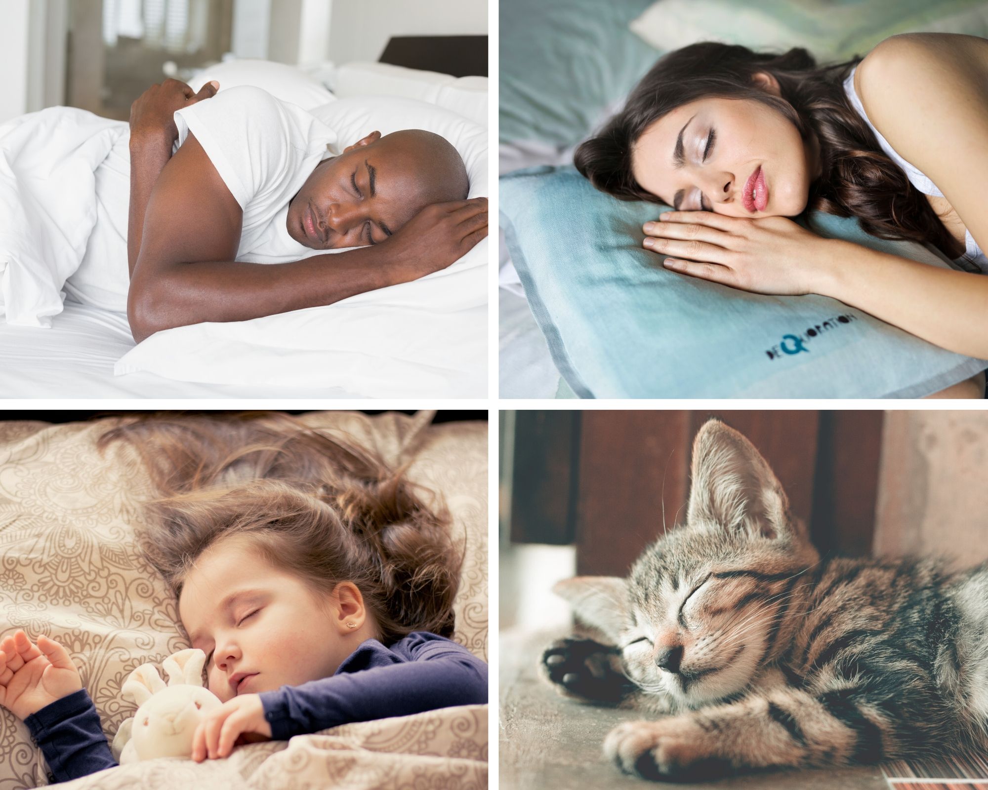 Un bon sommeil, atout primordial pour ton bien-être ! - Solo Naturo ...